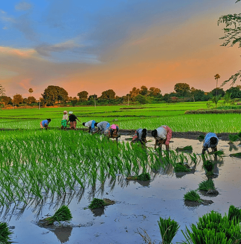 301 Moved Permanently